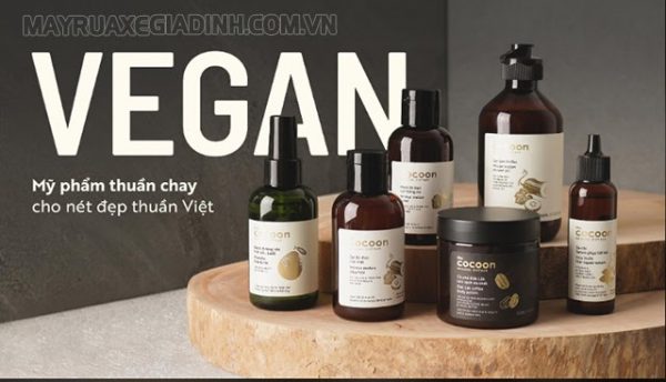 Cocoon là gì? Đánh giá chi tiết mỹ phẩm Cocoon có tốt không?